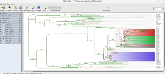 Phylogenetics and Public Health