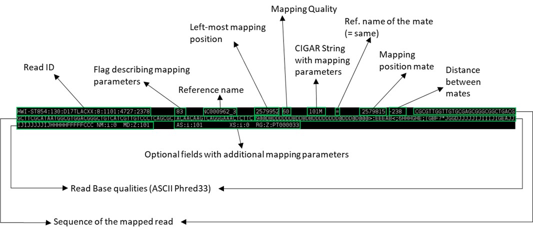 Mapping Sequence Data