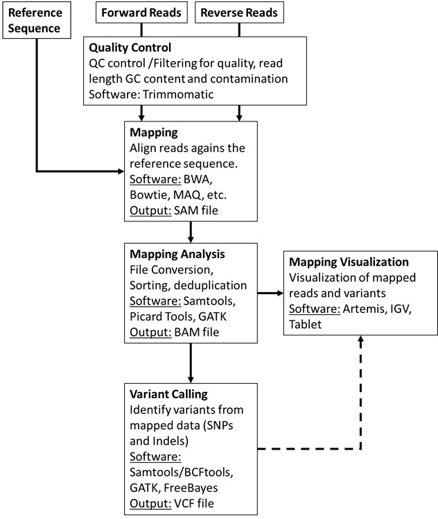 Mapping Sequence Data